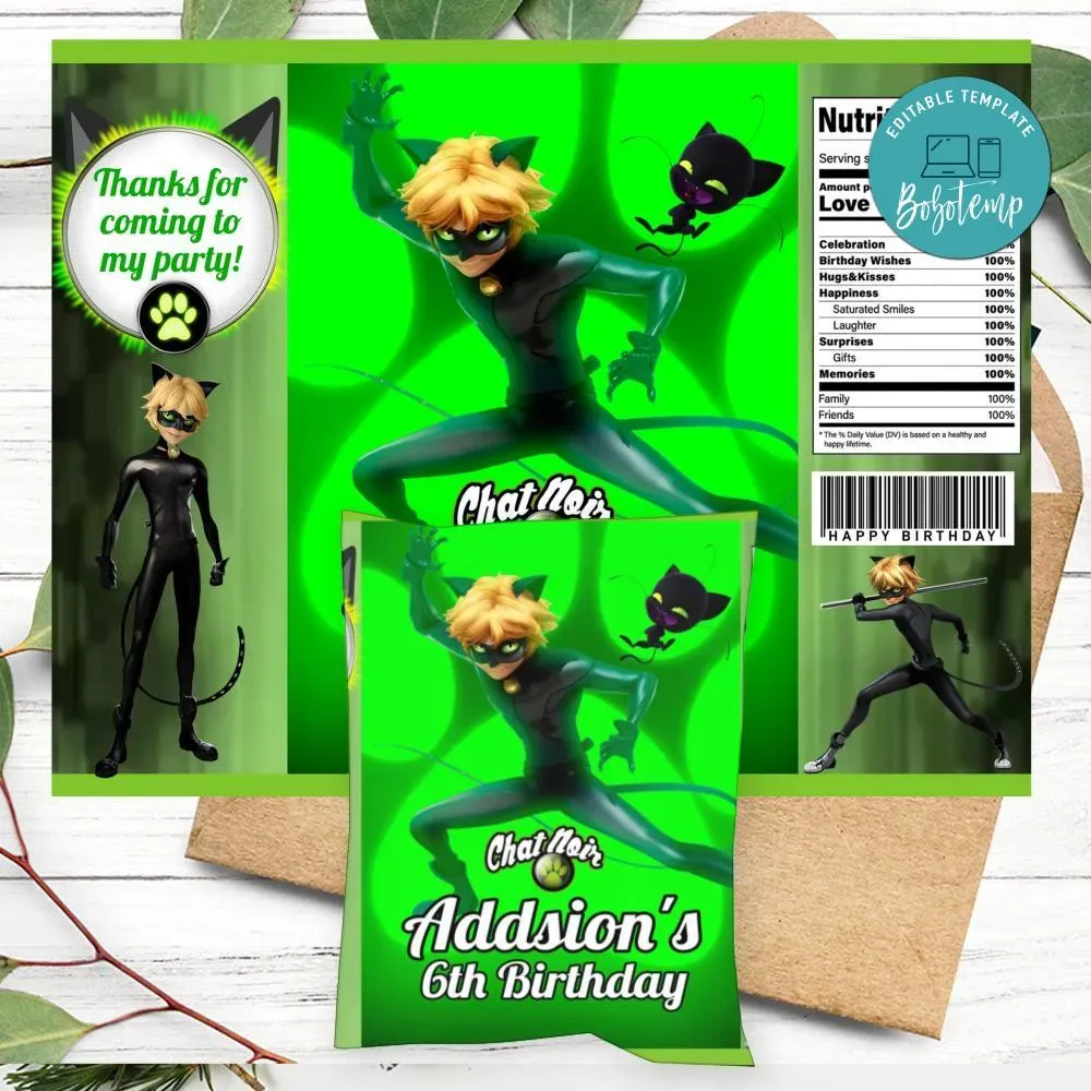 Cat Noir Birthday Party Chip Bag Digital File Printable | Bobotemp